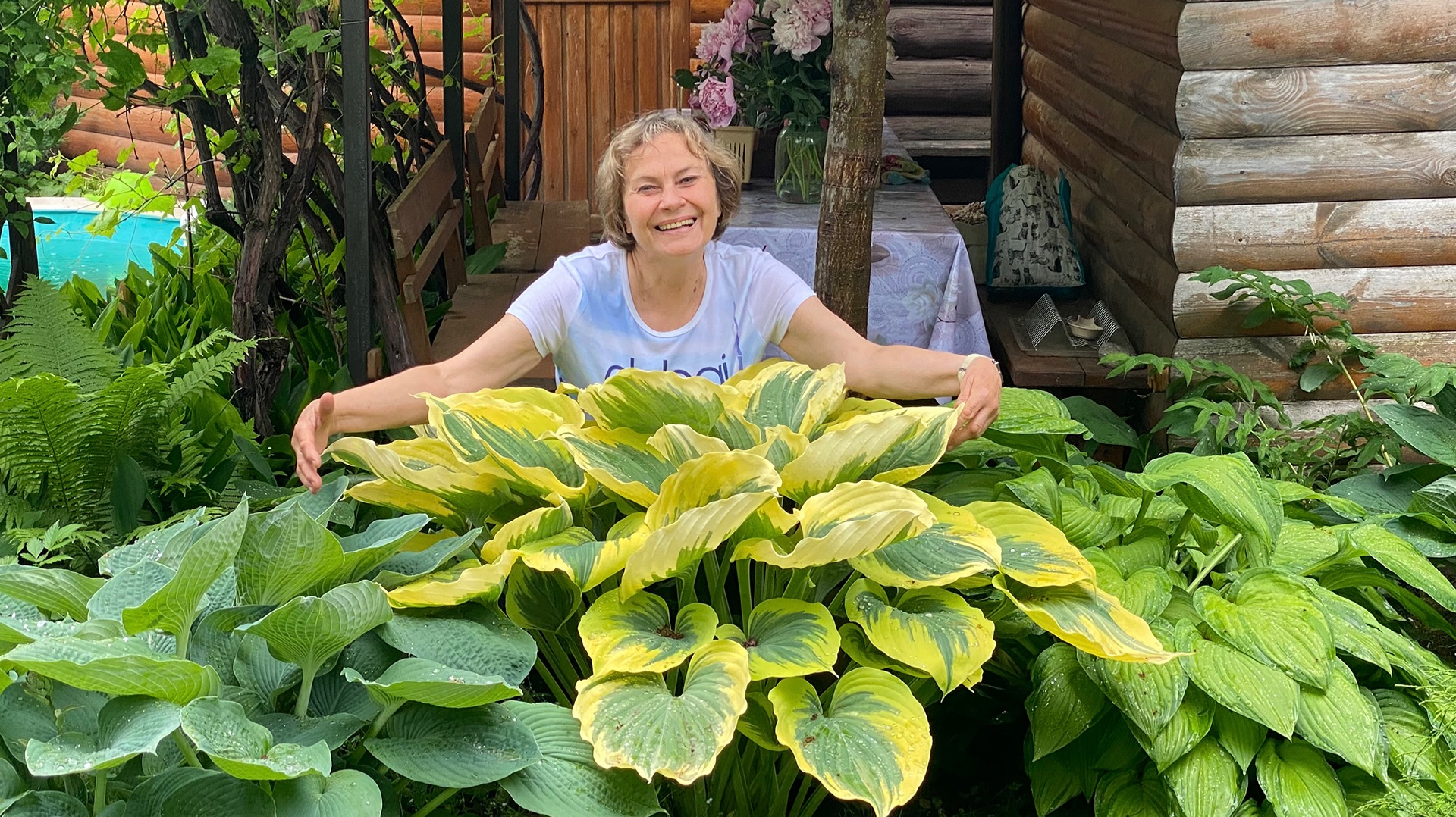 ХОСТЫ в моем САДУ