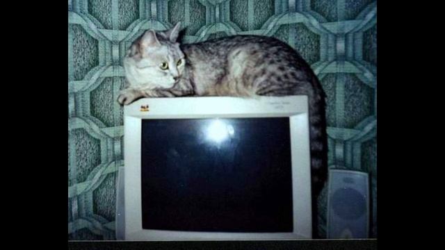 Марина Урусова. Юлия Барсиковна. Секретные материалы