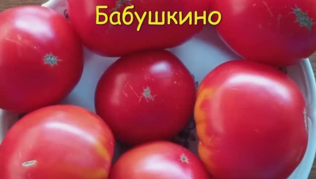 Каталог  томатов 2025 г. Часть 1. г. Киров