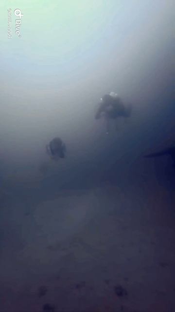 Рэк-дайвинг в Дубае, дайвинг в Дубае, дайвинг в Эмиратах