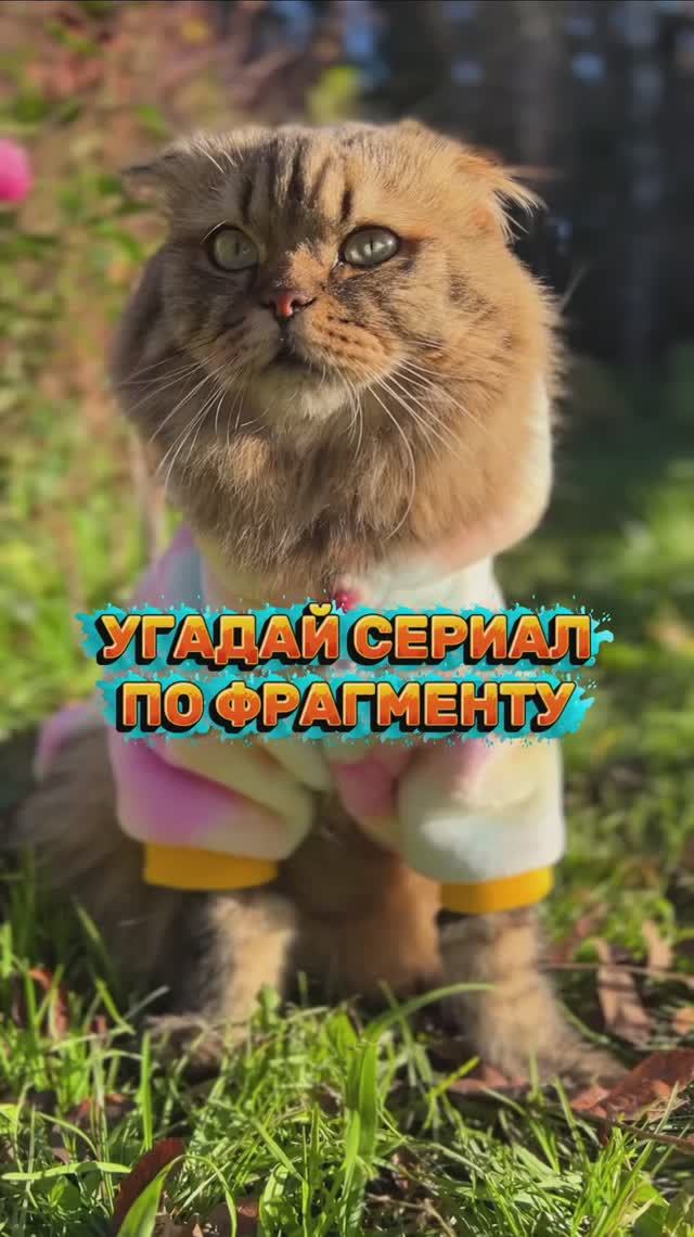 Интересное тут👇