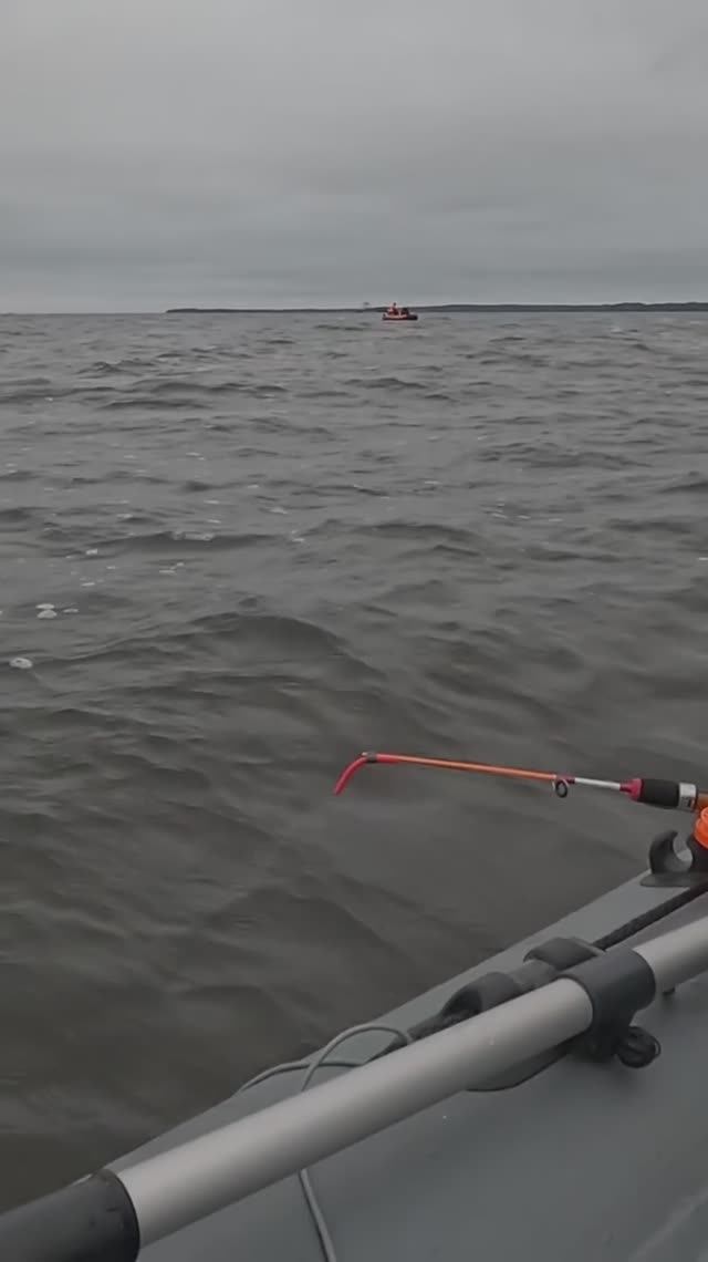 Была поклевка?