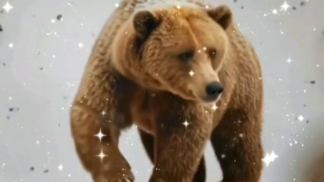 почему медведи впадают в спячку