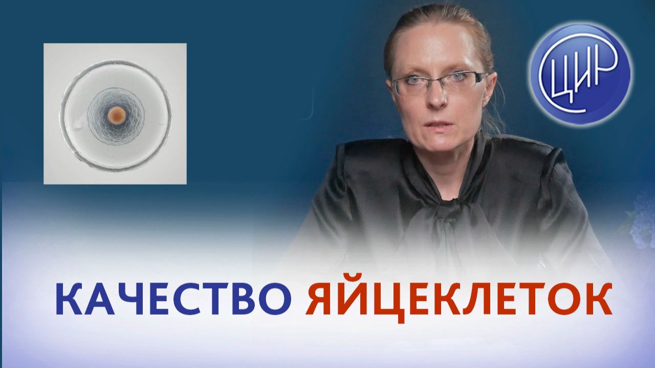Качество яйцеклеток. Почему в одной стимуляции качество ооцитов лучше, а в другой - хуже?