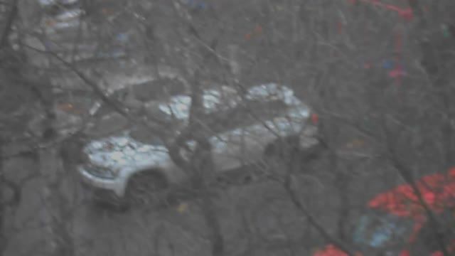 Белка прыгает по веткам. DSCN7015