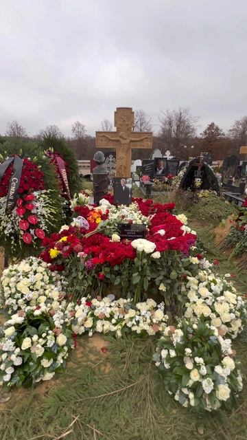 #Shorts Могила Юрия Николаева // Троекуровское кладбище, Москва //