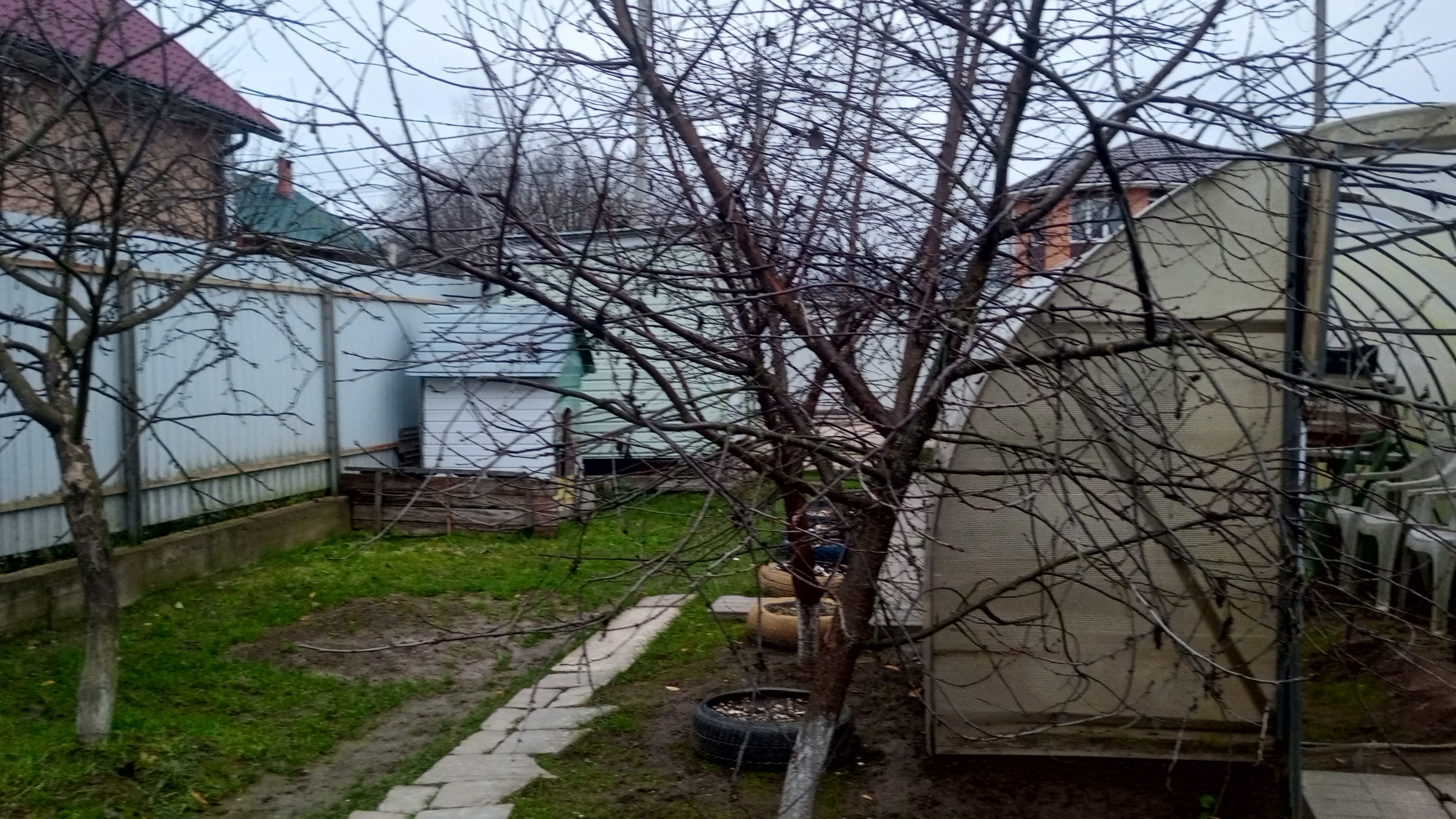 14-11-2025 Прогуляюсь перед Зумбой/Полезная новость