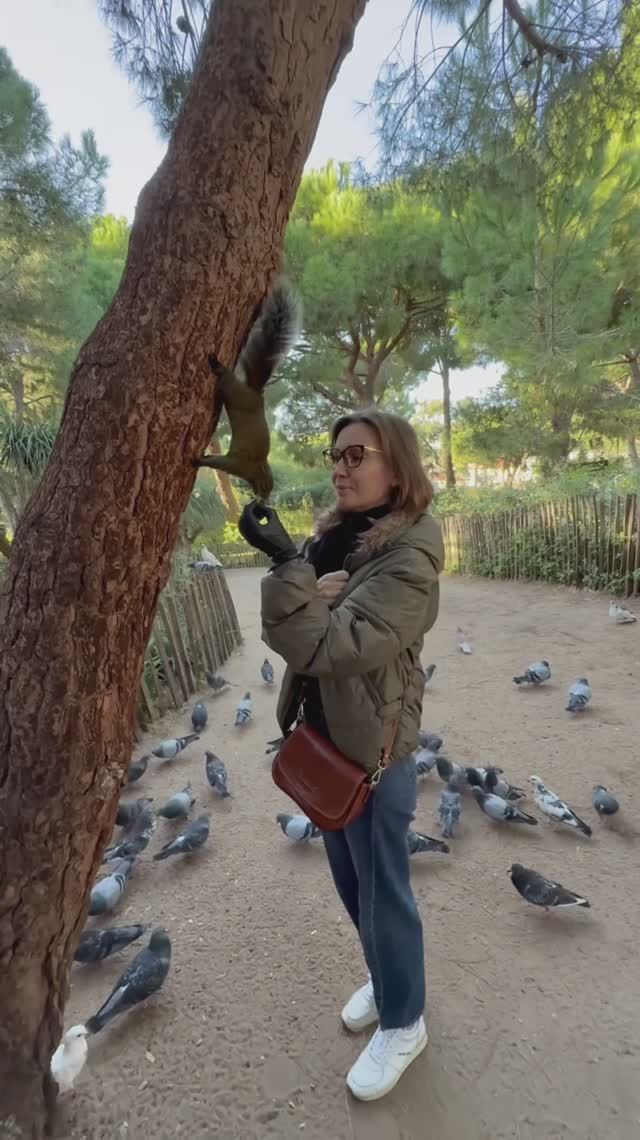 Как подружиться с белочками 🤪🐿️