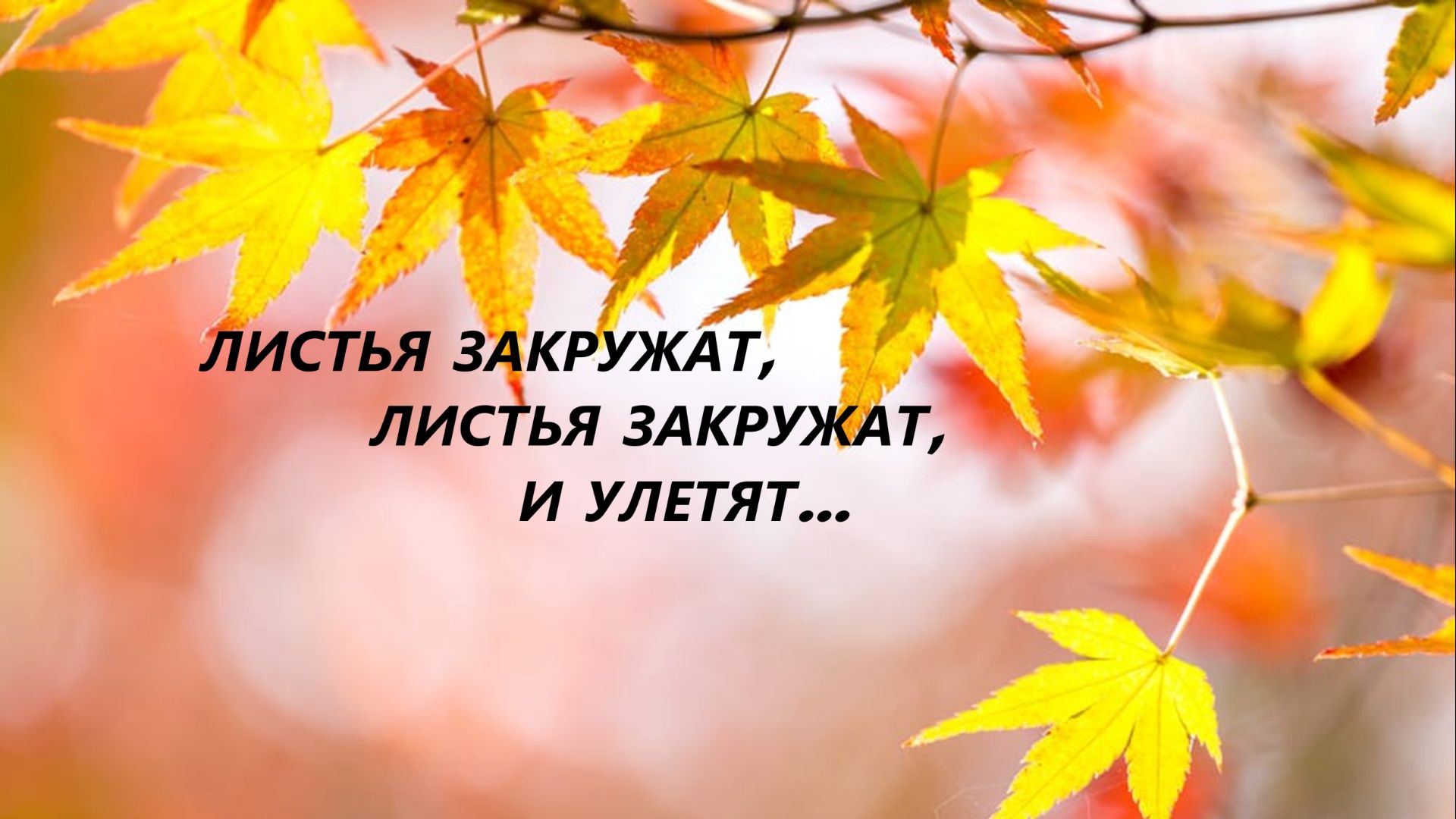 Косметичка "Осенний лист".Ручная вышивка.(ноябрь 2025г)