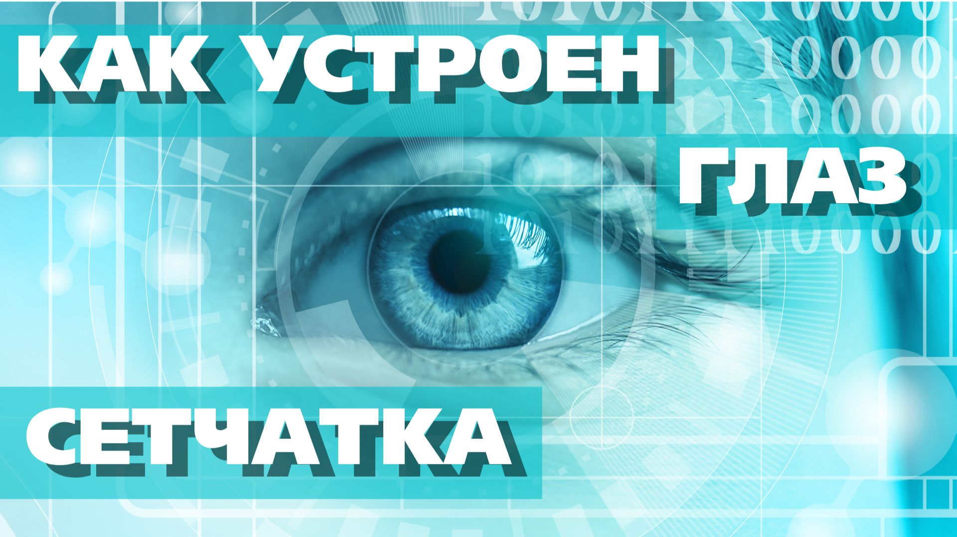 Как устроен глаз и сетчатка, поломки при наследственных дистрофиях сетчатки. Вводная лекция.