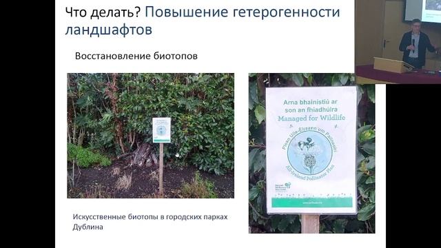 Глобальное исчезновение насекомых