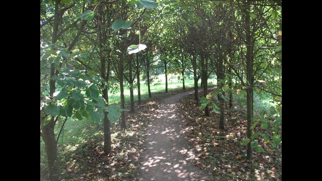 Горки  20 августа 2014