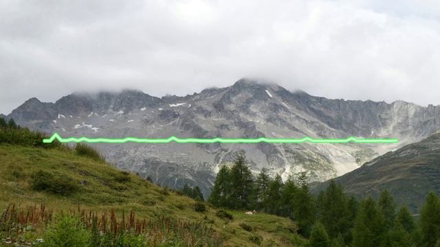 ПАТЯ МЕДЖИДОВА - НАРОДНАЯ 2025