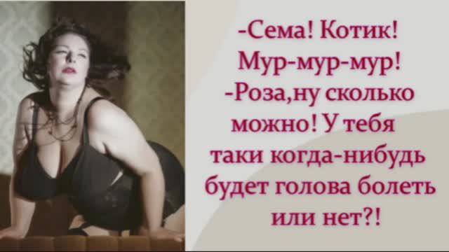 Только юмор! )