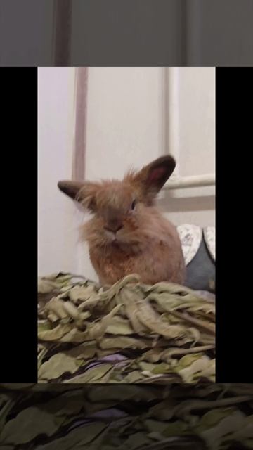 Не были мы на Таити!