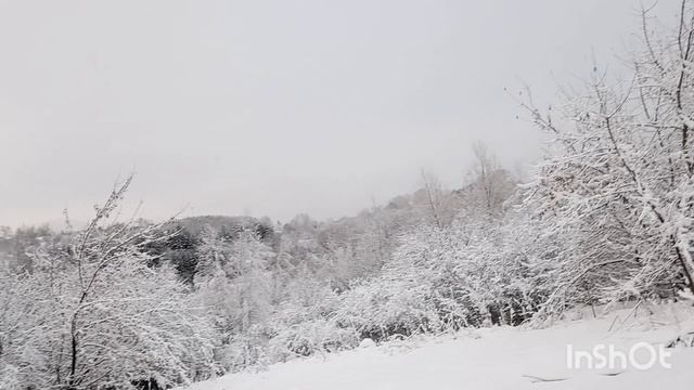 Жизнь