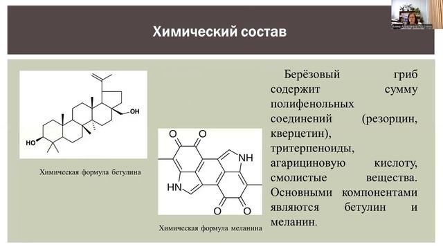 Технологические исследования получения жидкого экстракта чаги
