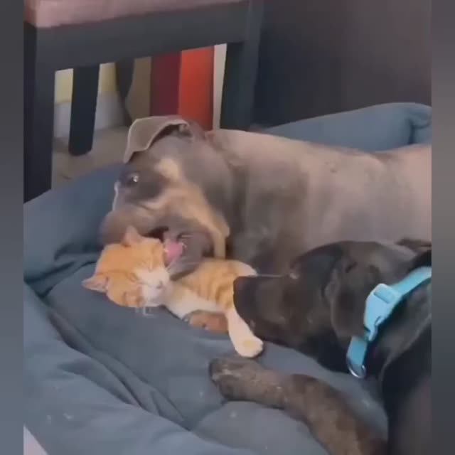 Почему нельзя?