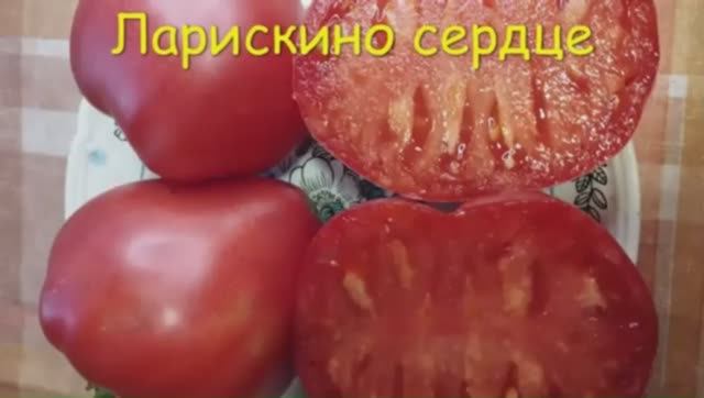 Каталог томатов 2025 год. Часть 3. г. Киров