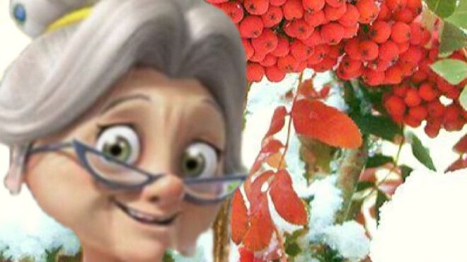 Заправки и соусы