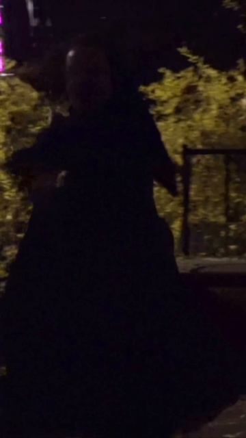 Елизавета Реймерс - Сто Шагов Назад