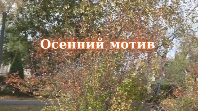 Осенний мотив....Музыка Сергея Грищука