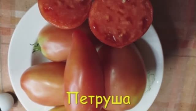 Каталог томатов 2025 года. Часть 5. г. Киров