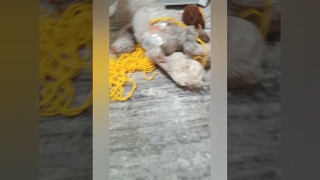 УЛЫБАЮЩИЙСЯ КОМНАТА. ОГНЕННЫЙ ФИНАЛ. УНИЧТОЖИЛИ УЛЫБАЮЩИЙСЯ КОМНАТУ