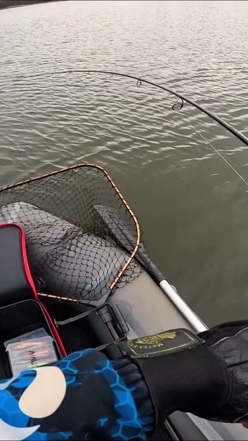 ВОДА БУРЛИТ от щуки. Рыбалка