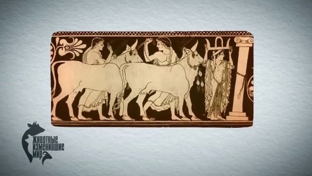 Поклонение корове в древности