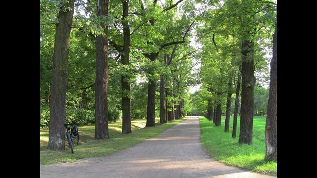 Александровский сад  31 июля 2014