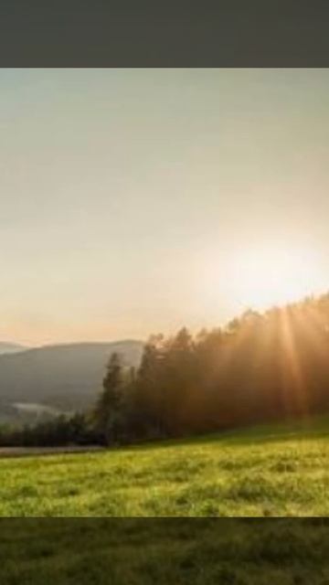 Снято для https://t.me/shyttt13k☺️