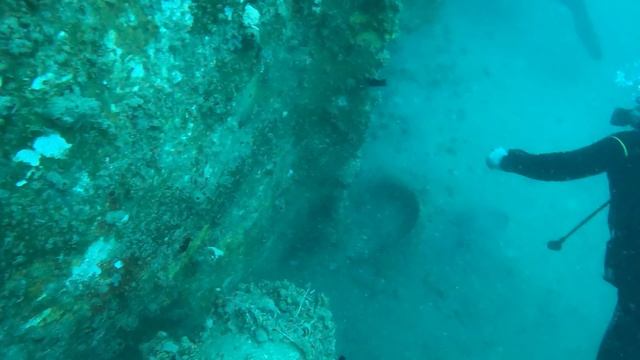 Рэк-дайвинг в Дубае, дайвинг в Дубае, дайвинг в Эмиратах, Island wreck