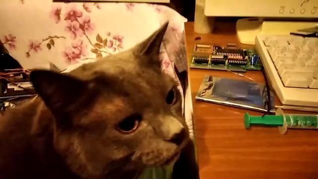 Урезанный DOOM 2 на одной дискете 1.44 Мб запущен на 80486-м без HDD