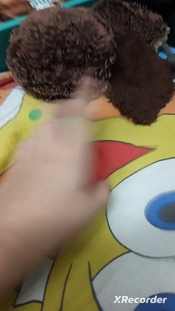 смешные котята 2