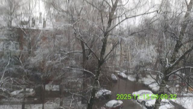 Первый снег 15.11.2025  etug377ffugf743f