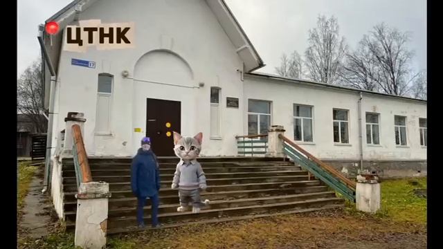 Кот Василий в Вожеге!