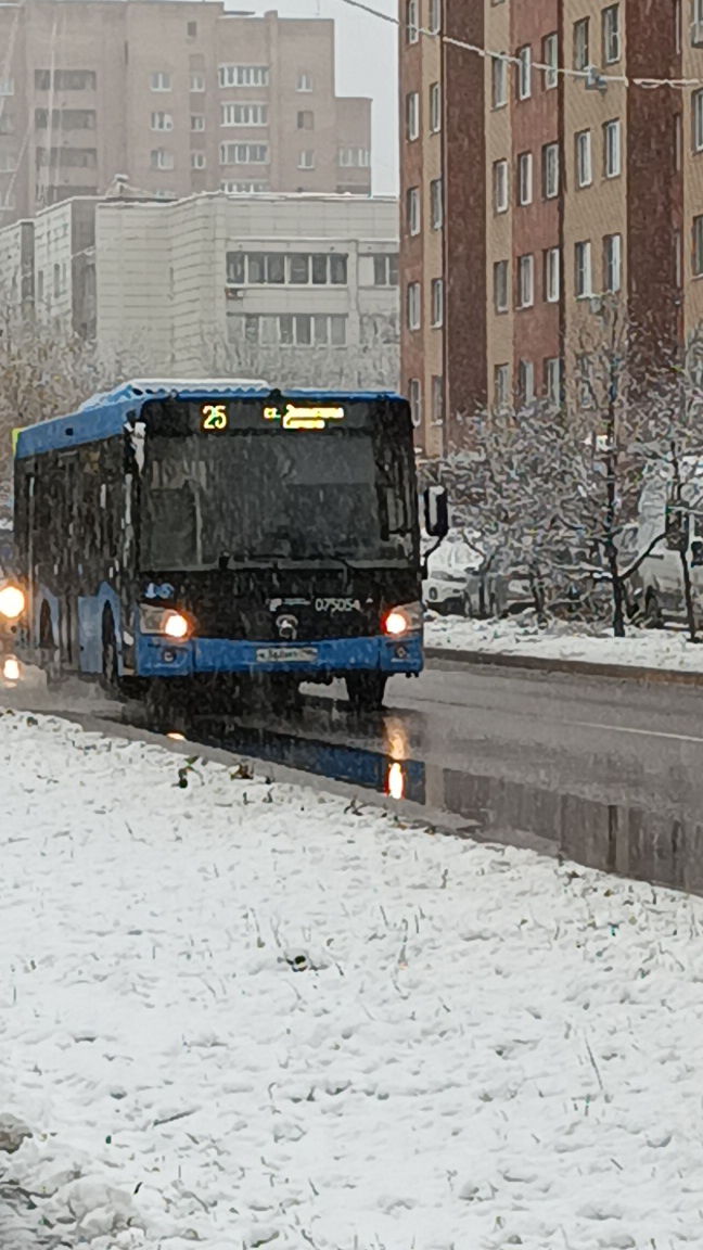 ЛиАЗ 4292 25 маршрут в г.Звенигород