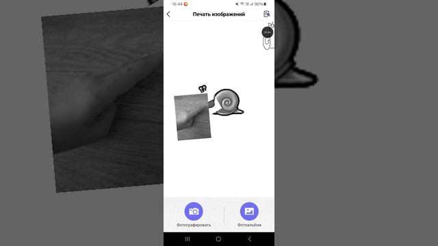 о ноу монетка и зомби серия 4