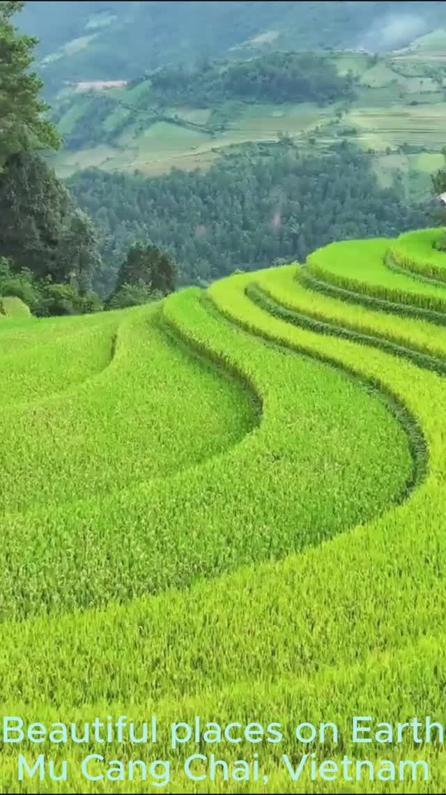 Красивые места Земли - Mu Cang Chai, Vietnam