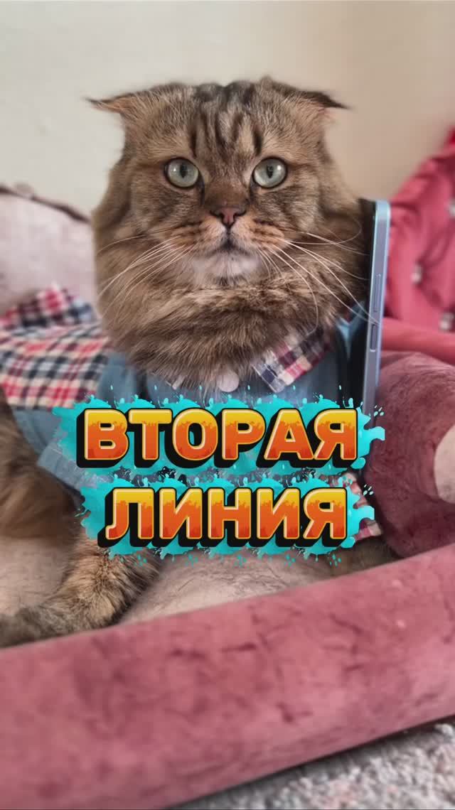 Подробнее в описании😸
