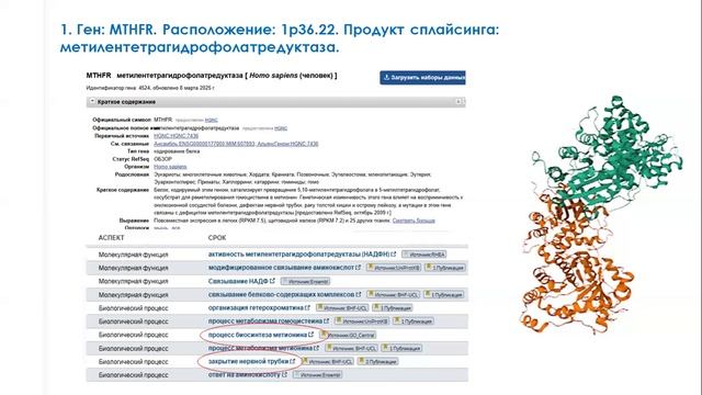 ВЫЯВЛЕНИЕ ГЕНЕТИЧЕСКИХ ФАКТОРОВ, ОБУСЛАВЛИВАЮЩИХ ВРОЖДЕННЫЕ ДЕФЕКТЫ РАЗВИТИЯ ЧЛО