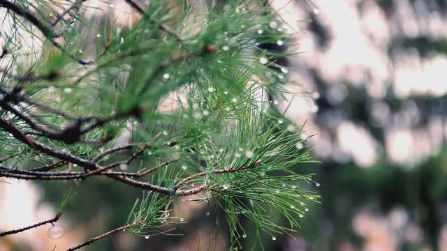 г. Сызрань "без прикрас" Фотографии 25 года (2)