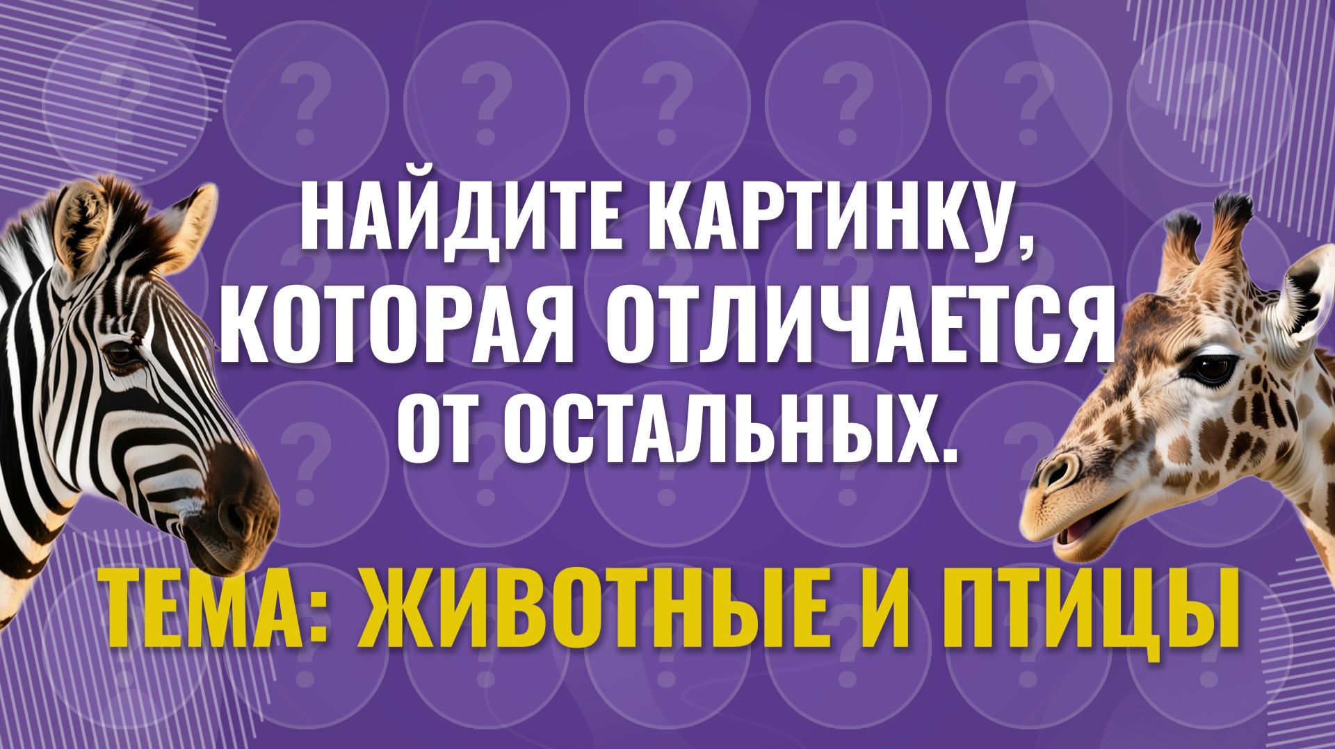 Найдите картинку, которая отличается от остальных! Тема: животные и птицы
