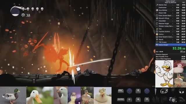 Hollow Knight - Any% in 32m 31s by Disney_Reject - 1st place. (Disney Reject - youtube)