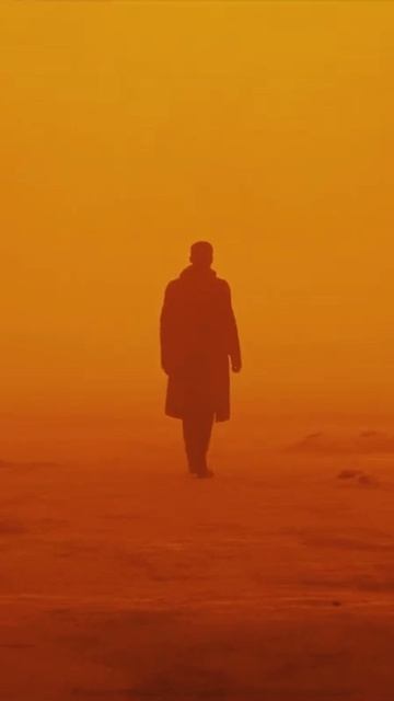 You look lonely - Blade Runner 2049