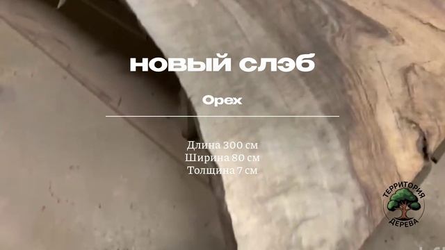 Новый создания из ореха