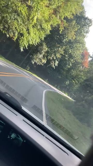 еду по серпантину по дороге домой из школы. Spenser Mount