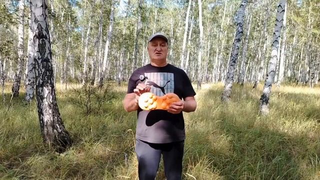 "Долгая дорога без боли в спине  проверено водителями"  Авторский канал Игоря Верещаги.