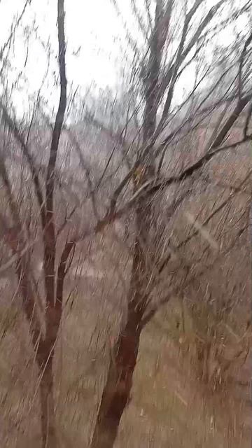 УРААААА!!!! СНЕГ!!!!!^^